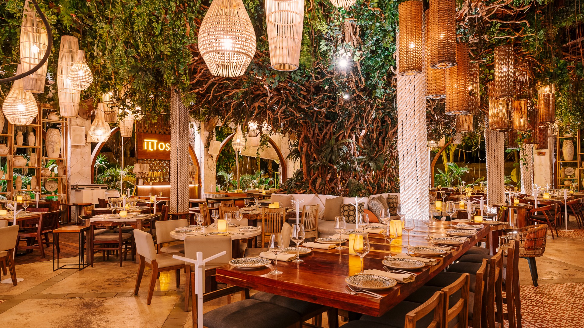 Ilios Quinta avenida - Greek Restaurant | Grupo Anderson's