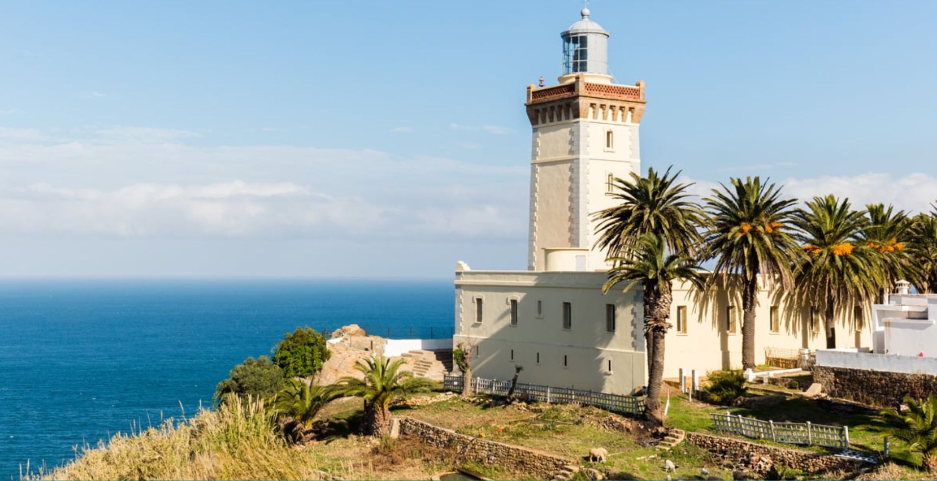 Ilios Cabo San Lucas: A Greek Experience - iliosrestaurante